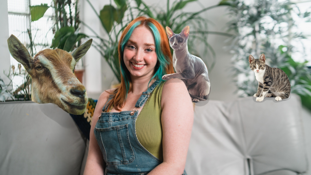 Plants Need Animals…Rawr